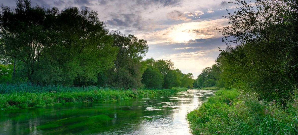 Fly Fishing in England | Luxury Vacations UK